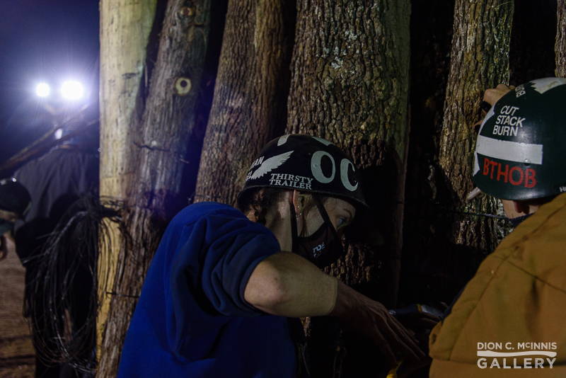 DCM_193638 + Bonfire 2020, Stack III + Dion C. McInnis Gallery