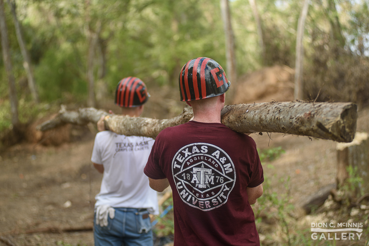 DCM_247573 + Bonfire 2023, Cut III + Dion C. McInnis Gallery