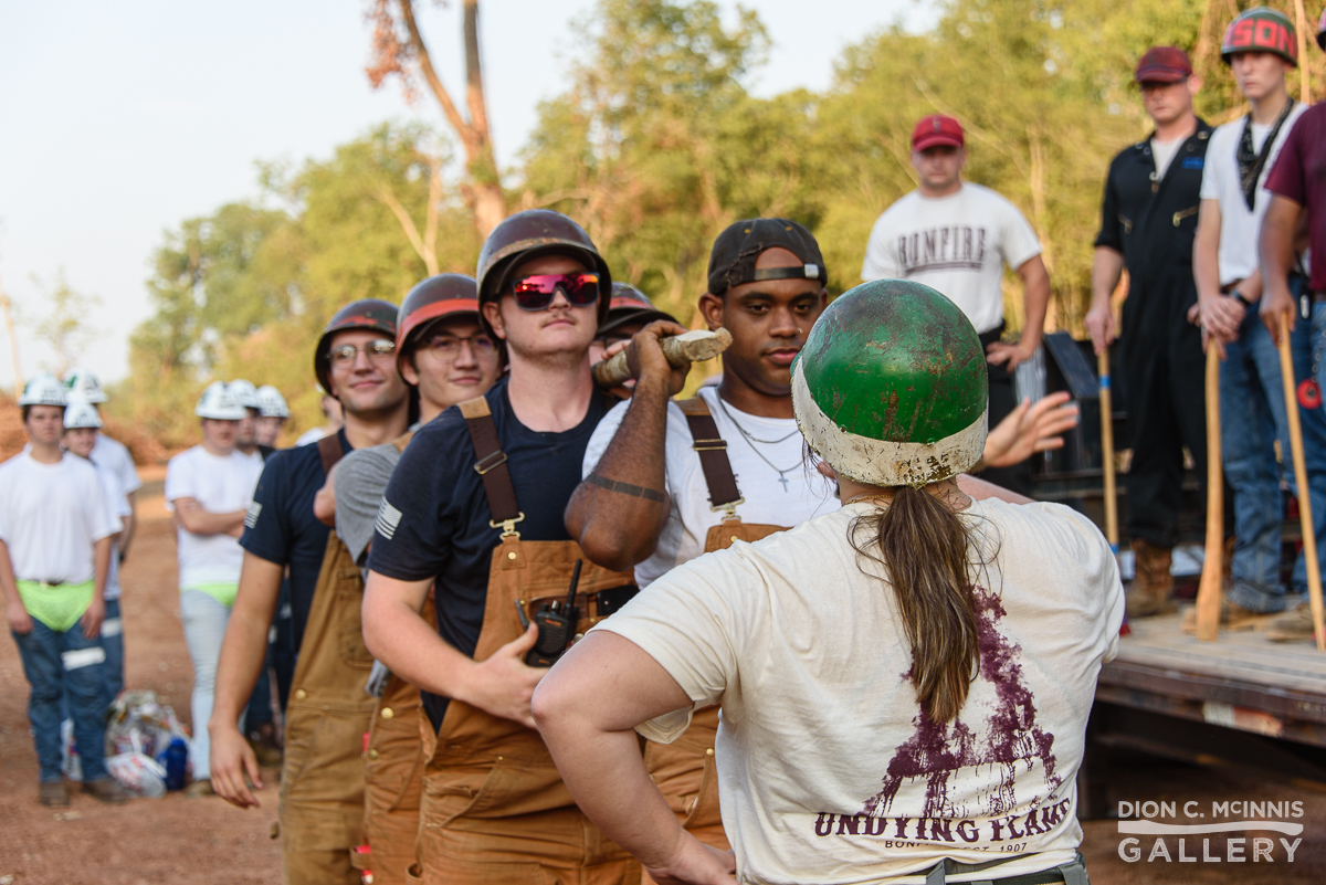 DCM_244365 + Bonfire 2023, First Cut + Dion C. McInnis Gallery