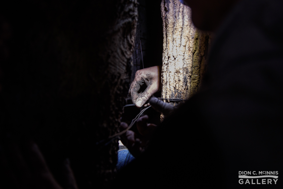 DCM_257582 + Bonfire 2023, First Stack + Dion C. McInnis Gallery