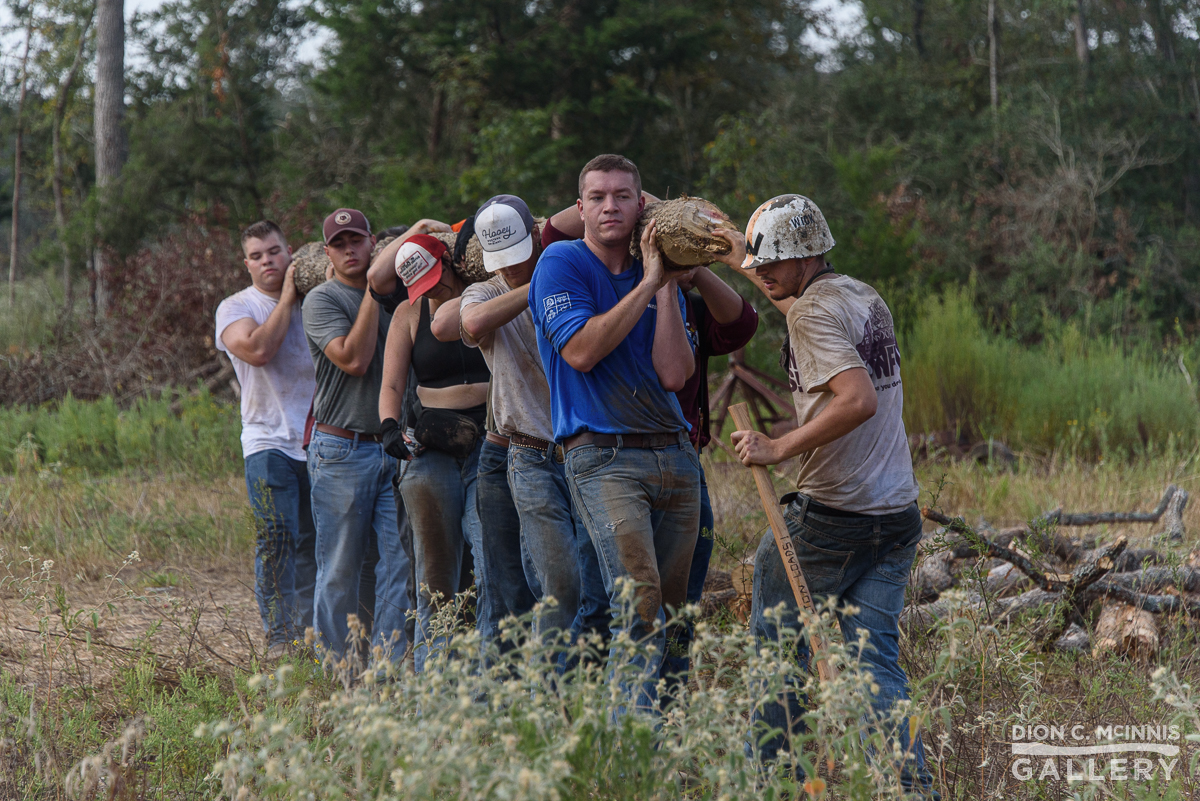 DCM_271791 + Bonfire 2024, Cut III, Pt. 2 + Dion C. McInnis Gallery