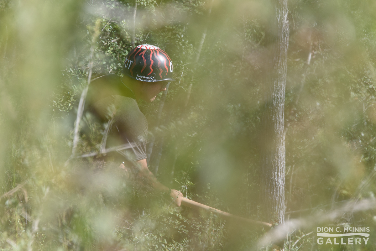 Bonfire 2024, Cut IIII + Dion C. McInnis Gallery