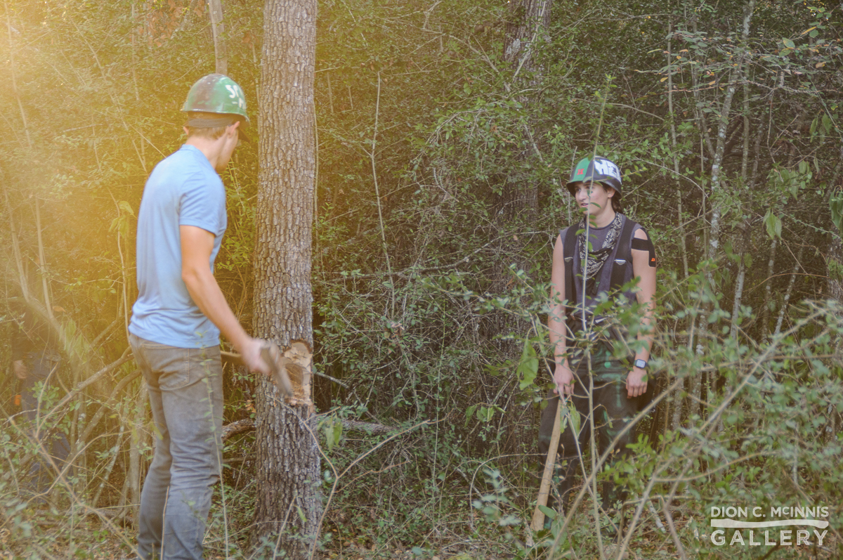 DCM_277089 + Bonfire 2024, Cut VIII + Dion C. McInnis Gallery