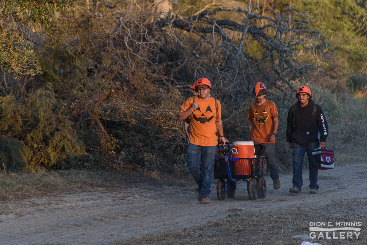 DCM_276912 + Bonfire 2024, Cut VIII + Dion C. McInnis Gallery