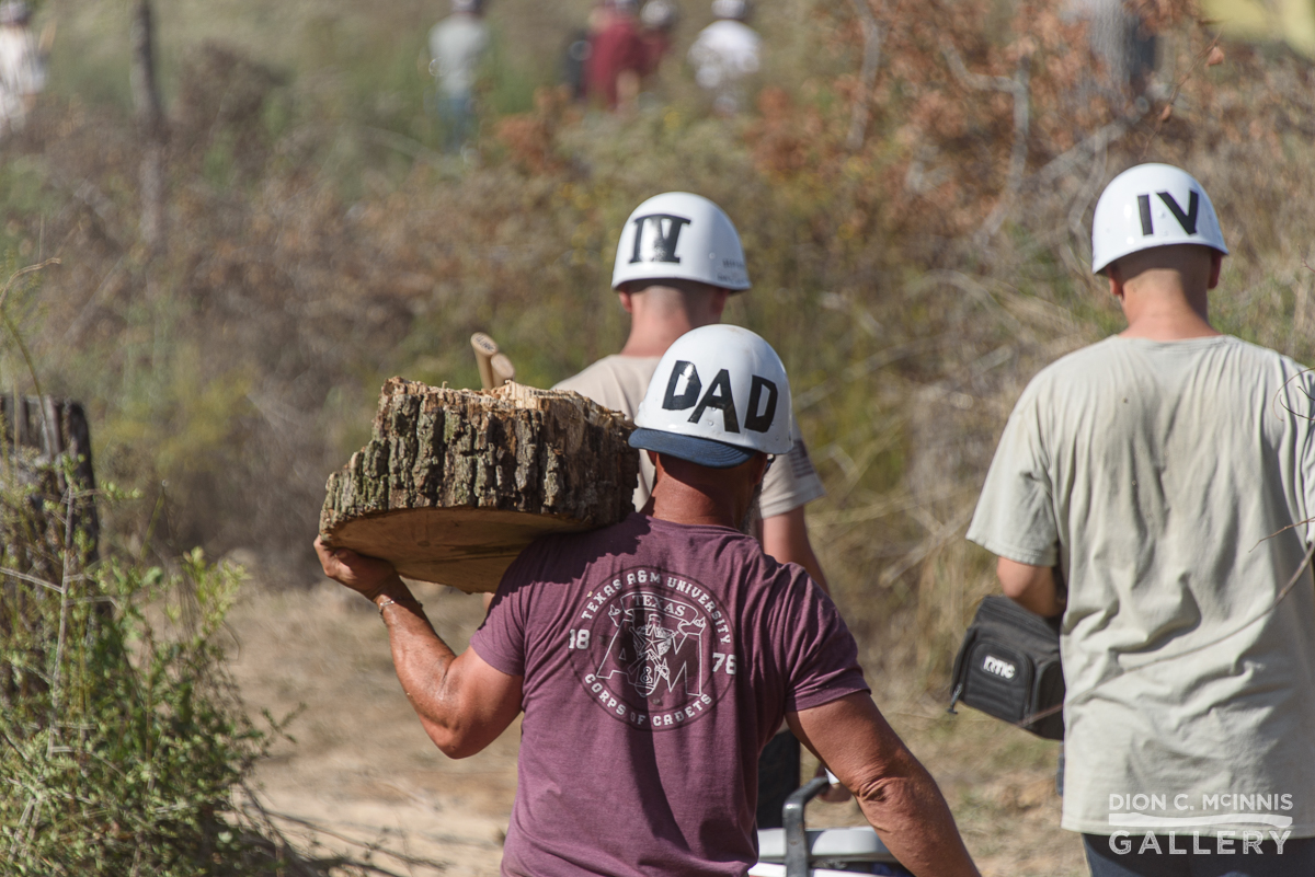 Bonfire 2024, Family Cut + Dion C. McInnis Gallery