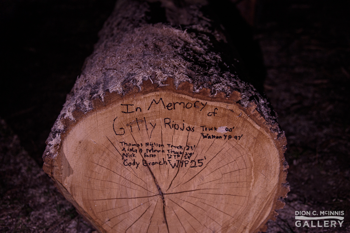 DCM_298274 + Bonfire 2025, Stack V + Dion C. McInnis Gallery