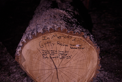 DCM_298274 + Bonfire 2025, Stack V + Dion C. McInnis Gallery